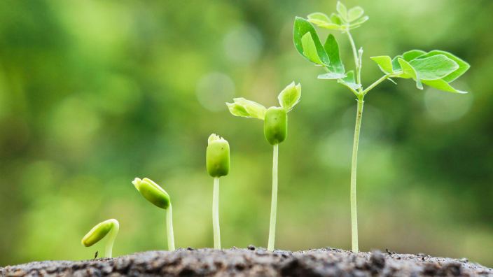 Thrive Studies | Cru