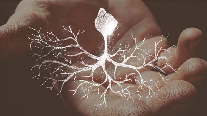 New Growth - A Follow Up Series | Cru